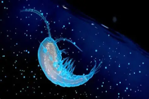 Life Sciences June 2026 - Scientific Design